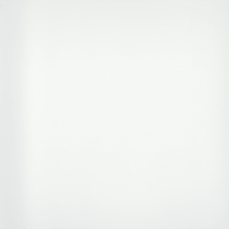 STYLE II - 24X24, PURE WHITE, MATTE | Emser Tile
